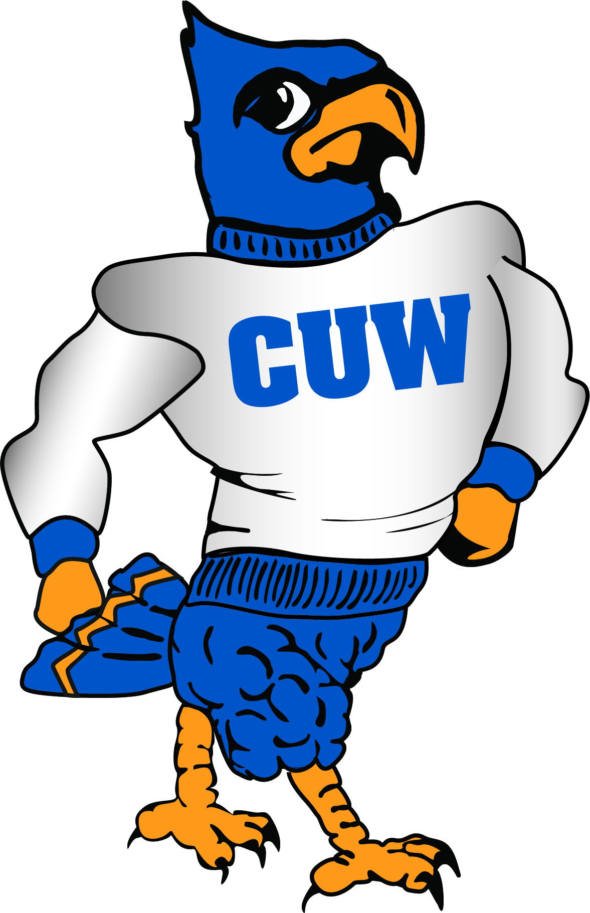 Concordia Study Abroad Rebrand – Schoen by Design